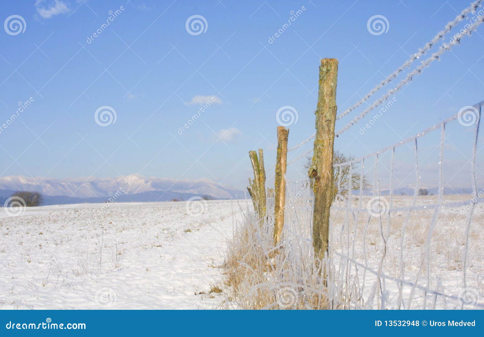 Frozen fence stock photo. Image of branch, blue, covering - 13532948