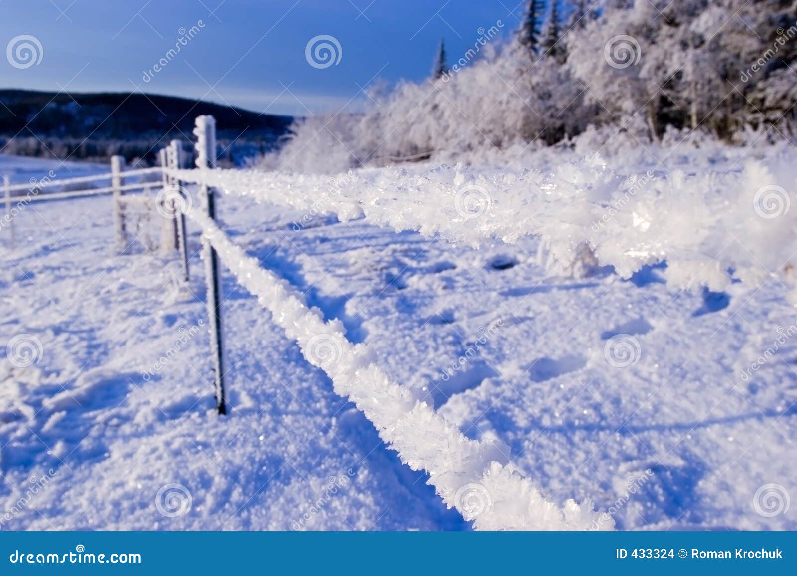 Frozen Fence Royalty-Free Stock Photo | CartoonDealer.com #1770123
