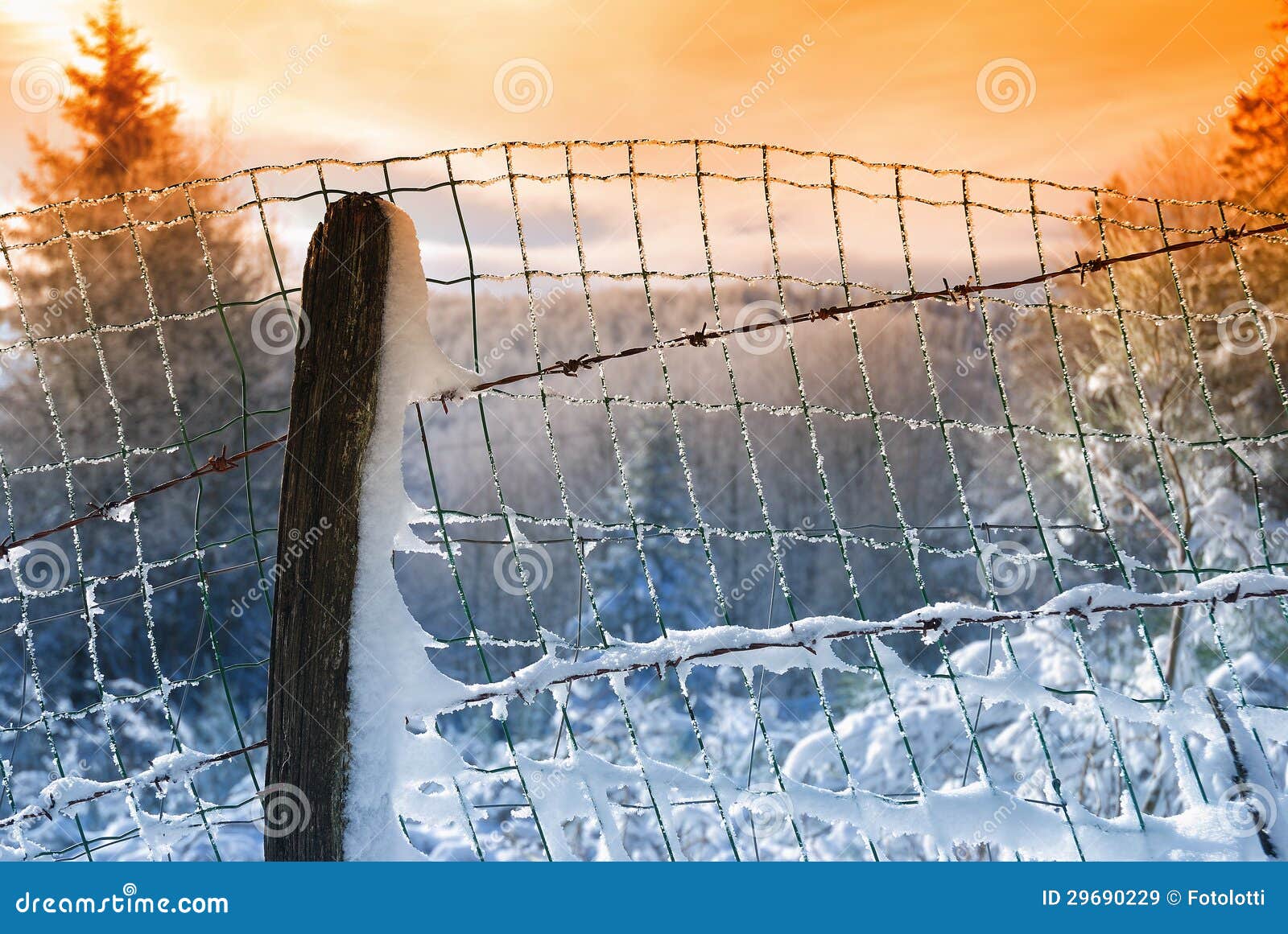Frozen Fence Royalty-Free Stock Photo | CartoonDealer.com #1770123