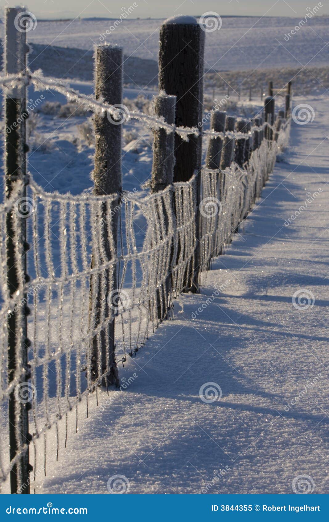 Frozen Fence Picture. Image: 3844355