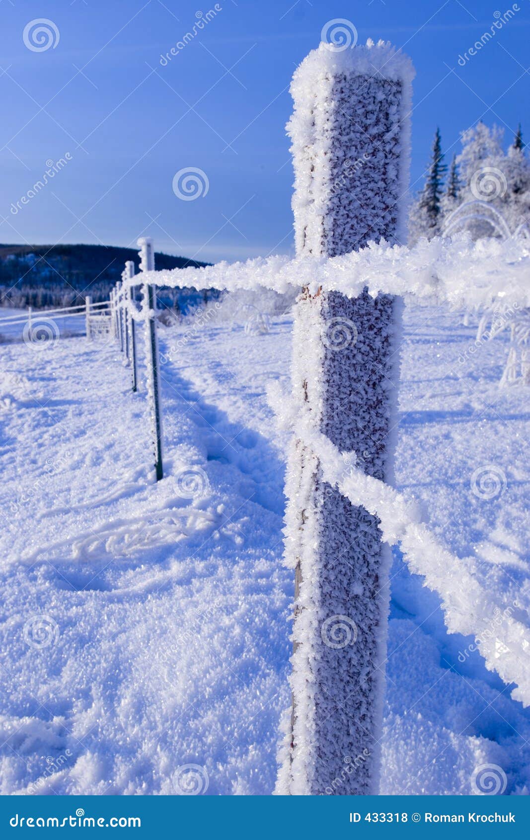 FROZEN: fence stock photo. Image of snow, dense, concept - 433318