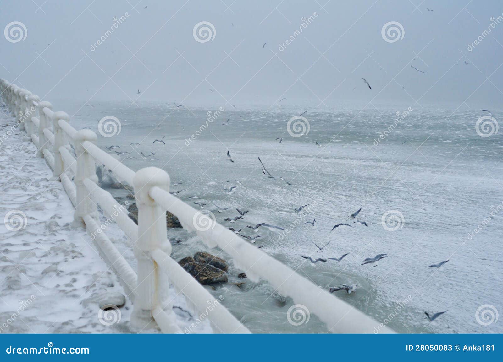 Frozen fence landscape stock image. Image of blizzard - 28050083