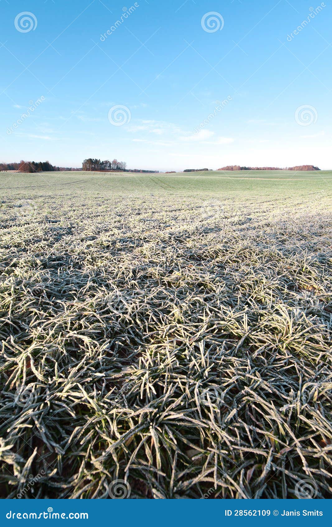 Frozen field. stock image. Image of agriculture, dirt - 28562109