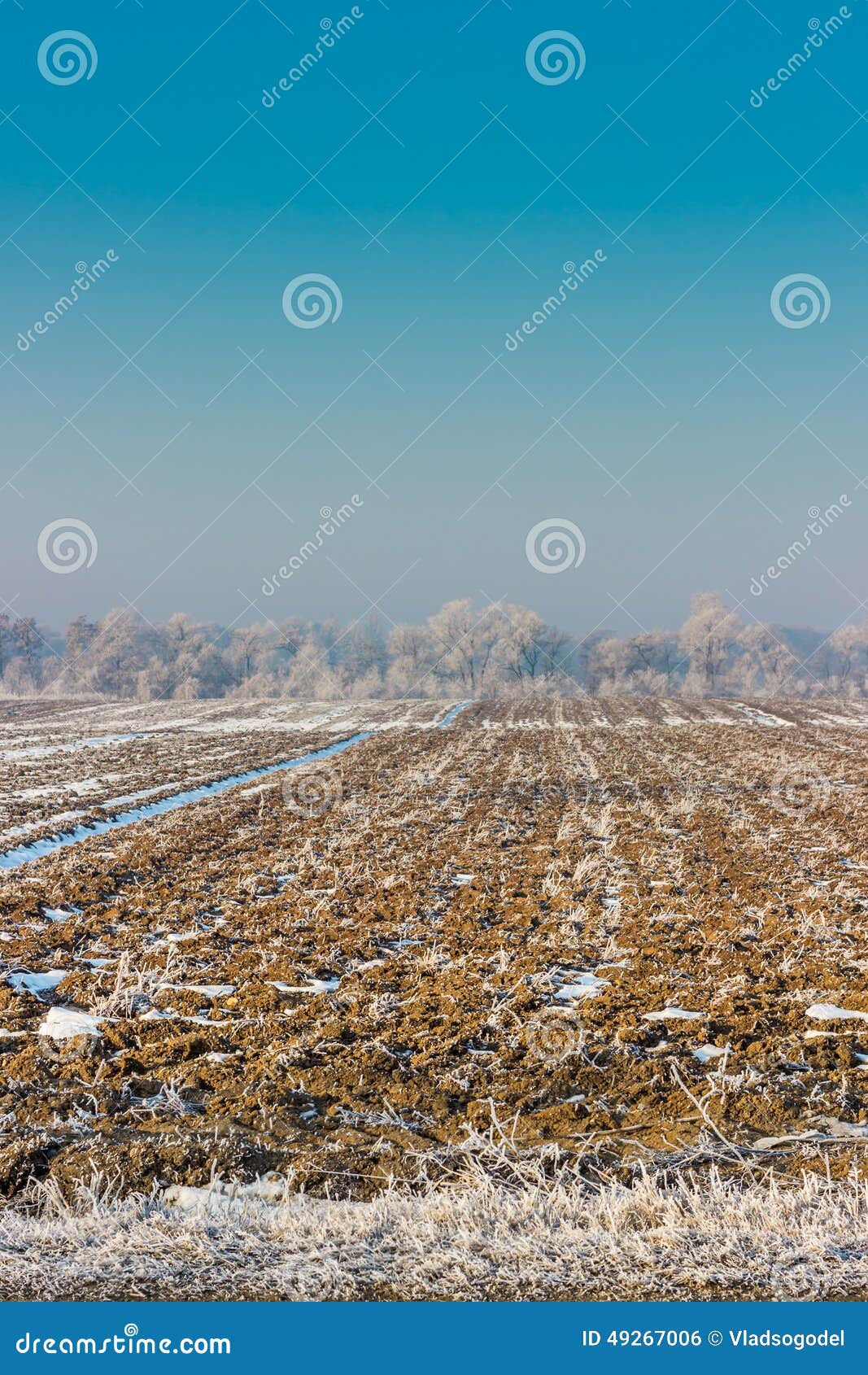 Frozen field in Kyrgyzstan stock photo. Image of january - 49267006