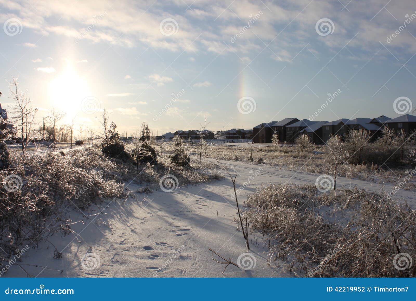 Frozen field stock photo. Image of frozen, november, dusk - 42219952