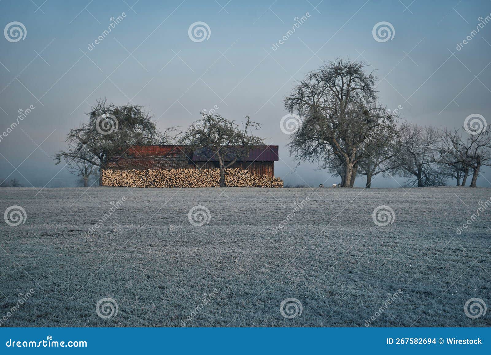 Frozen Field with a Stack of Wood and a Small Hut in the Background ...