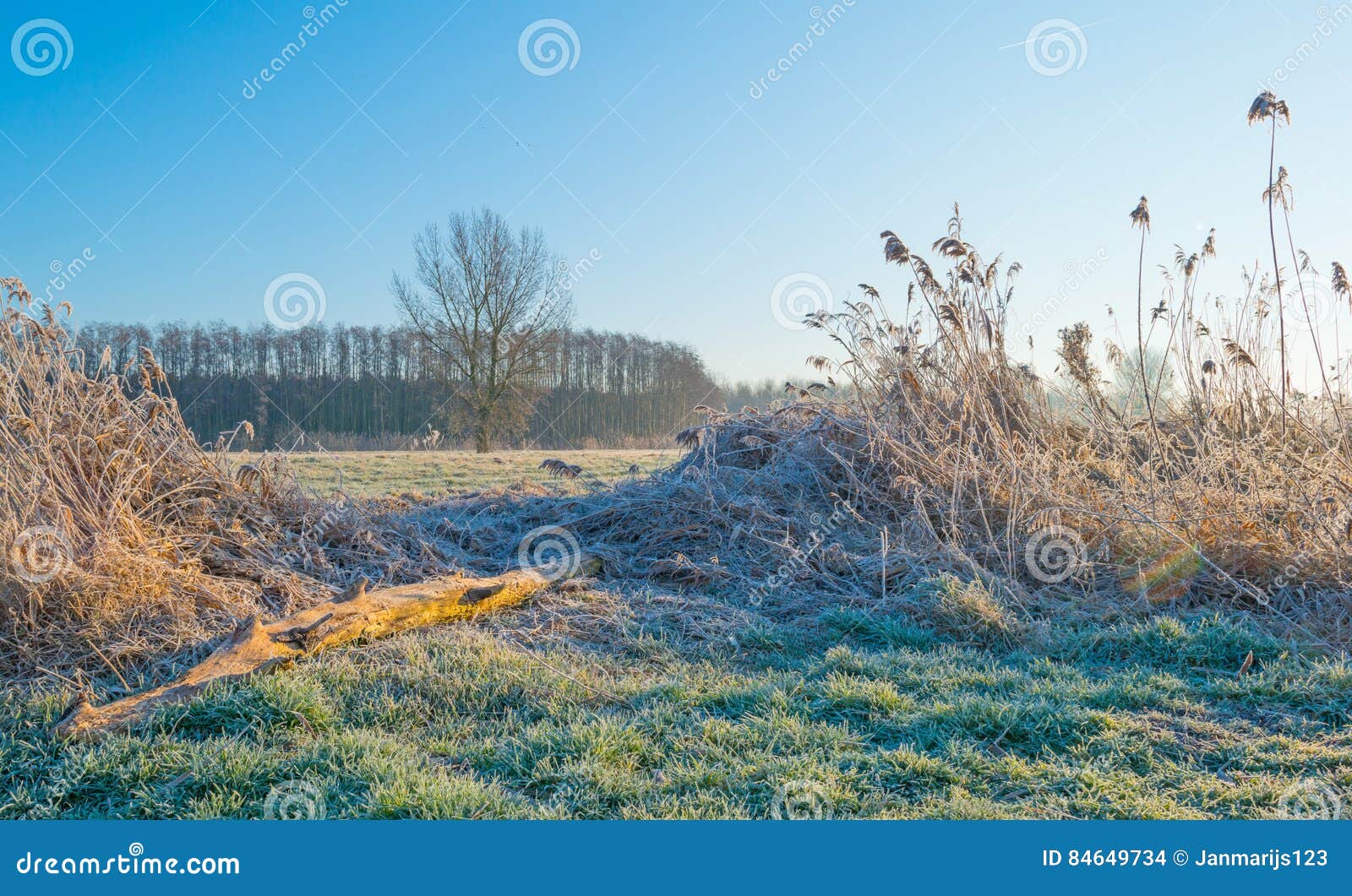 Frozen field at sunrise stock photo. Image of landscape - 84649734