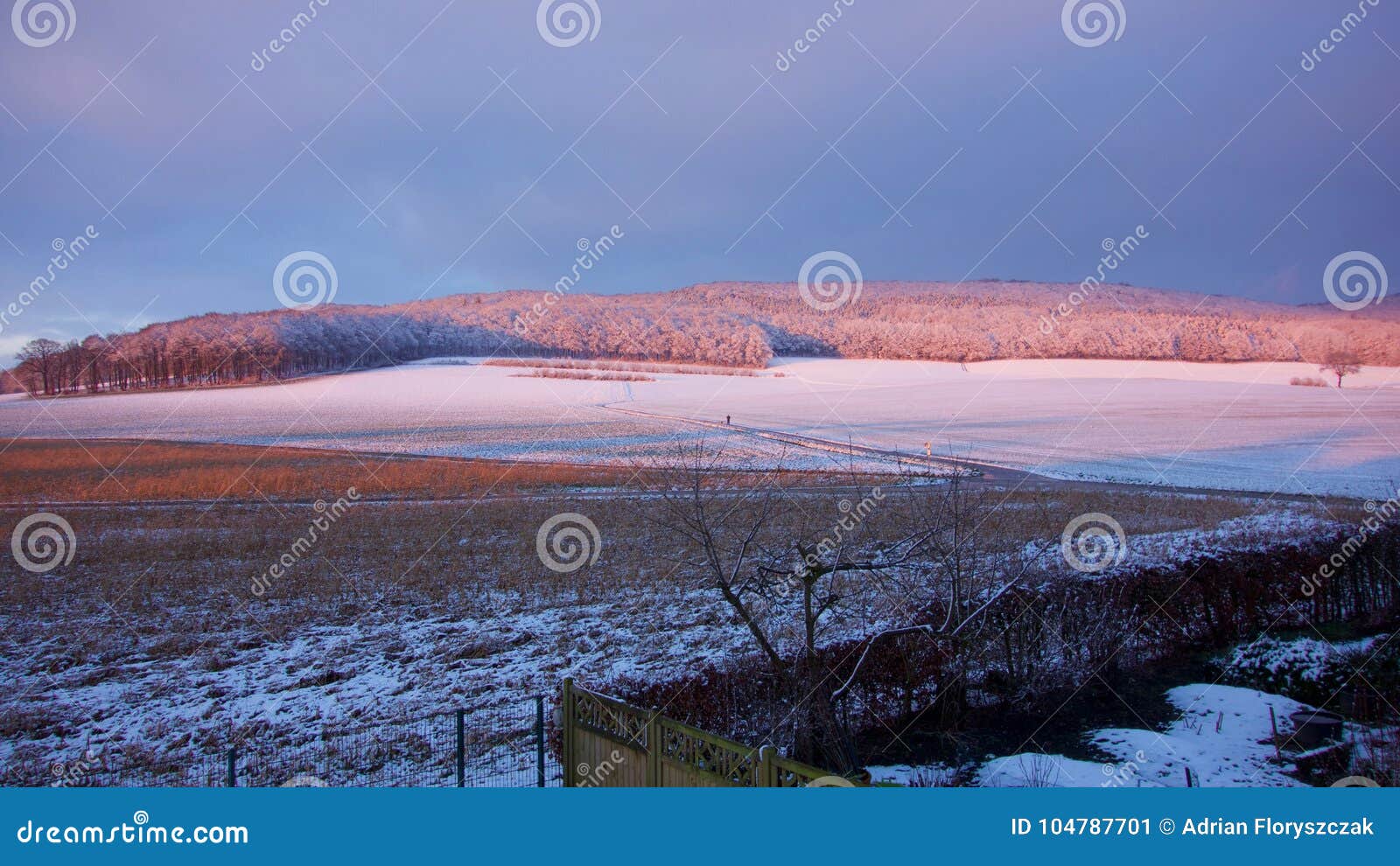 Frozen Field and Trees on Cold Clear Winter Stock Image - Image of ...