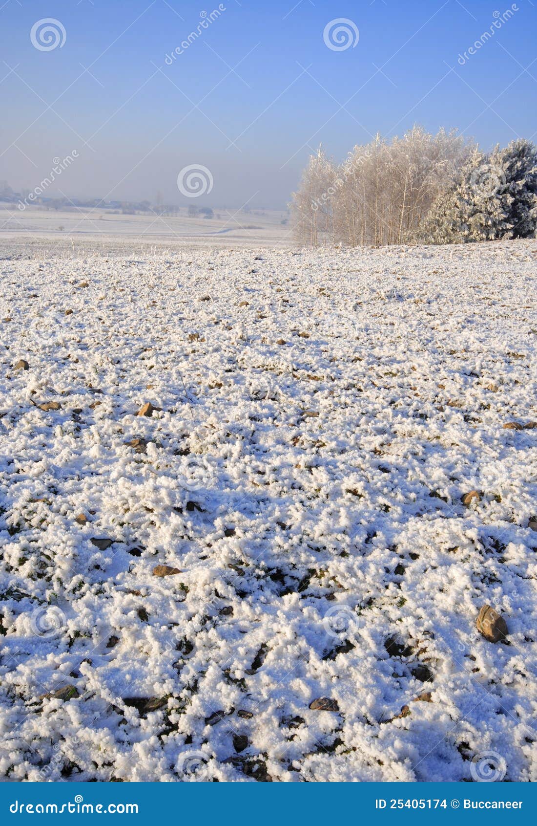 Frozen fields and meadows stock photo. Image of countryside - 25405174