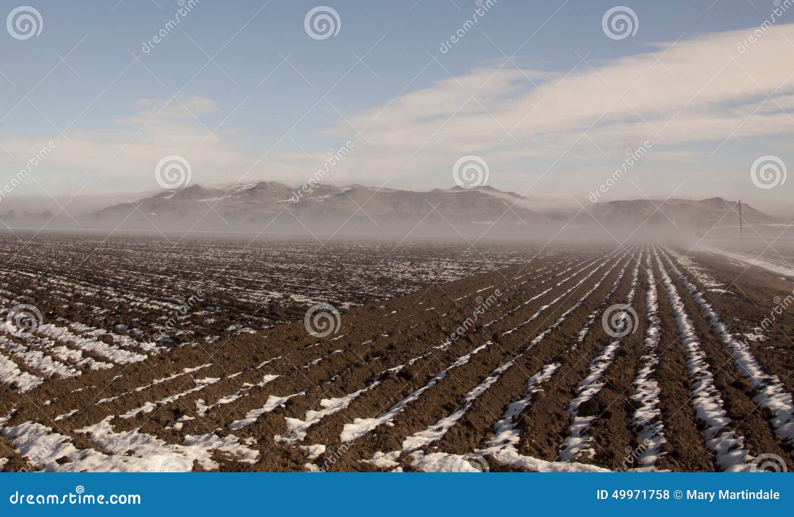 Frozen Fields stock photo. Image of fields, frozen, ground - 49971758