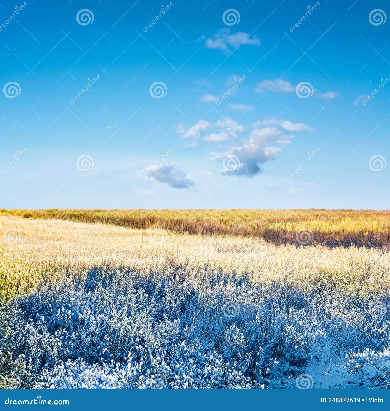Frozen Fields, Winter Landscape Stock Image - Image of scenery, blue ...