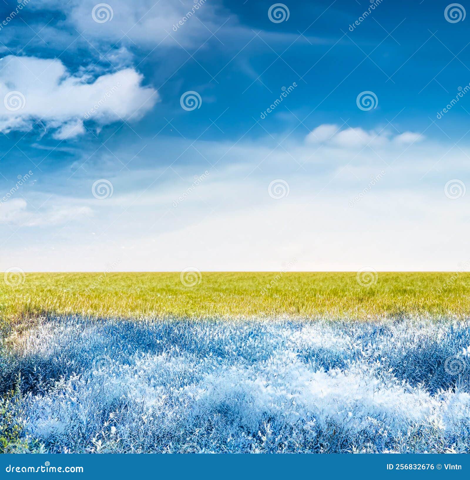 Frozen Fields, Winter Landscape Stock Photo - Image of cold, snowflake ...