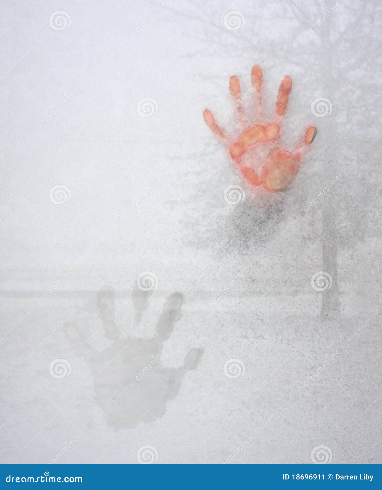 Frozen Fingers stock image. Image of tree, outdoors, storm - 18696911