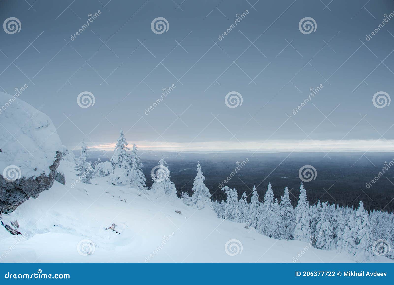 Frozen Fir Trees on the Mountainside Stock Photo - Image of scenic ... Frozen Fir Trees on the Mountainside Stock Photo - Image of scenic ...