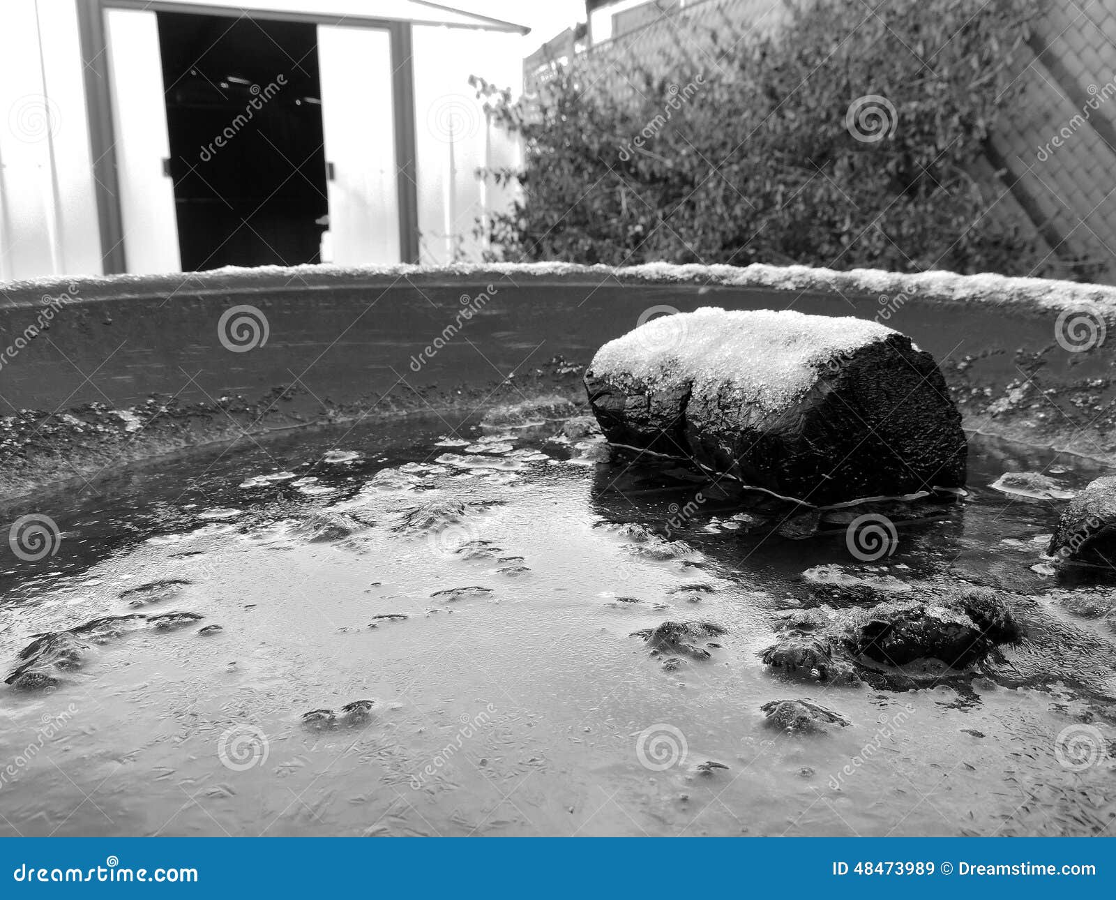 Frozen Fire Pit stock image. Image of desert, logs, winter - 48473989