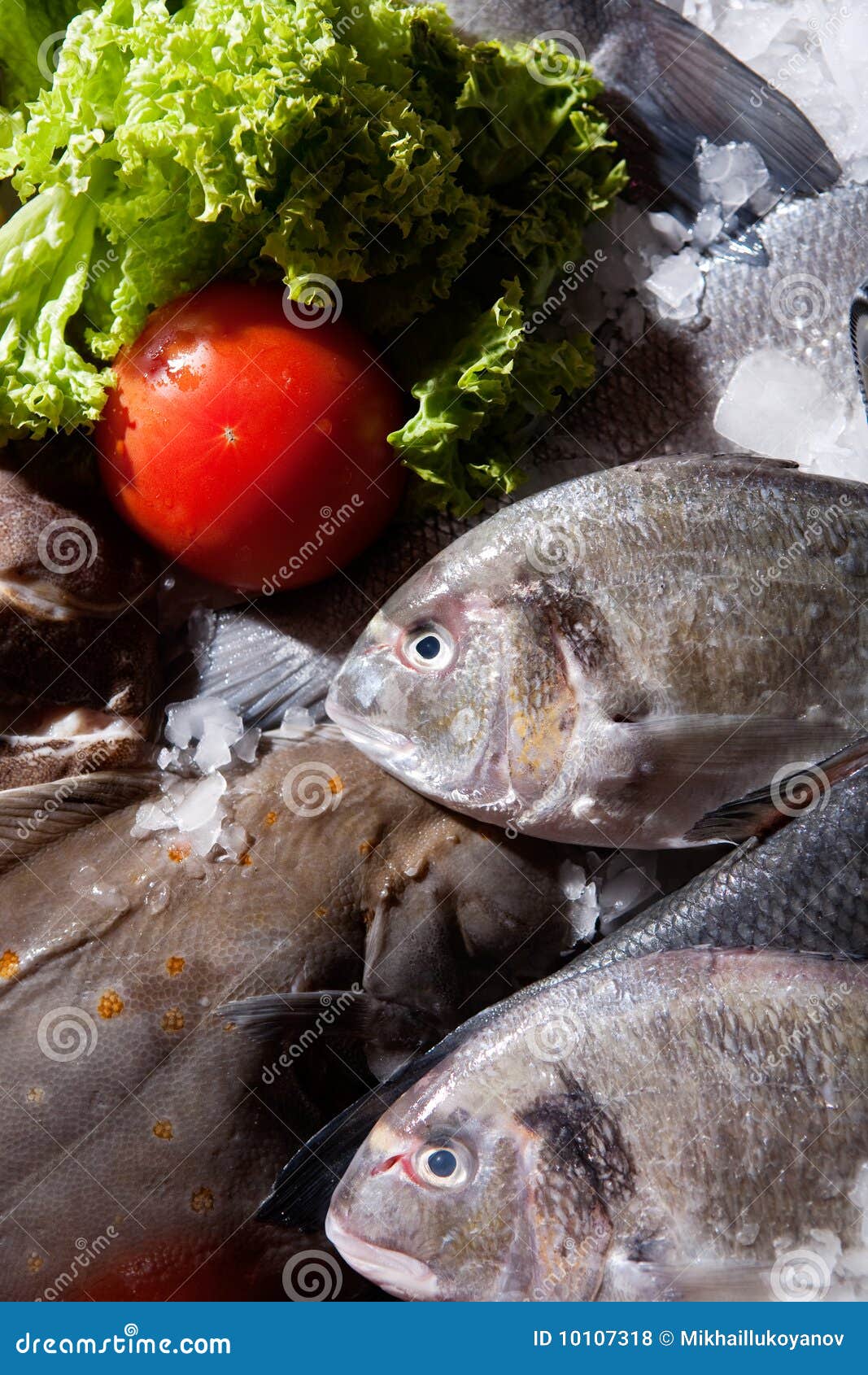 Frozen fish stock photo. Image of frozen, vertical, food - 10107318