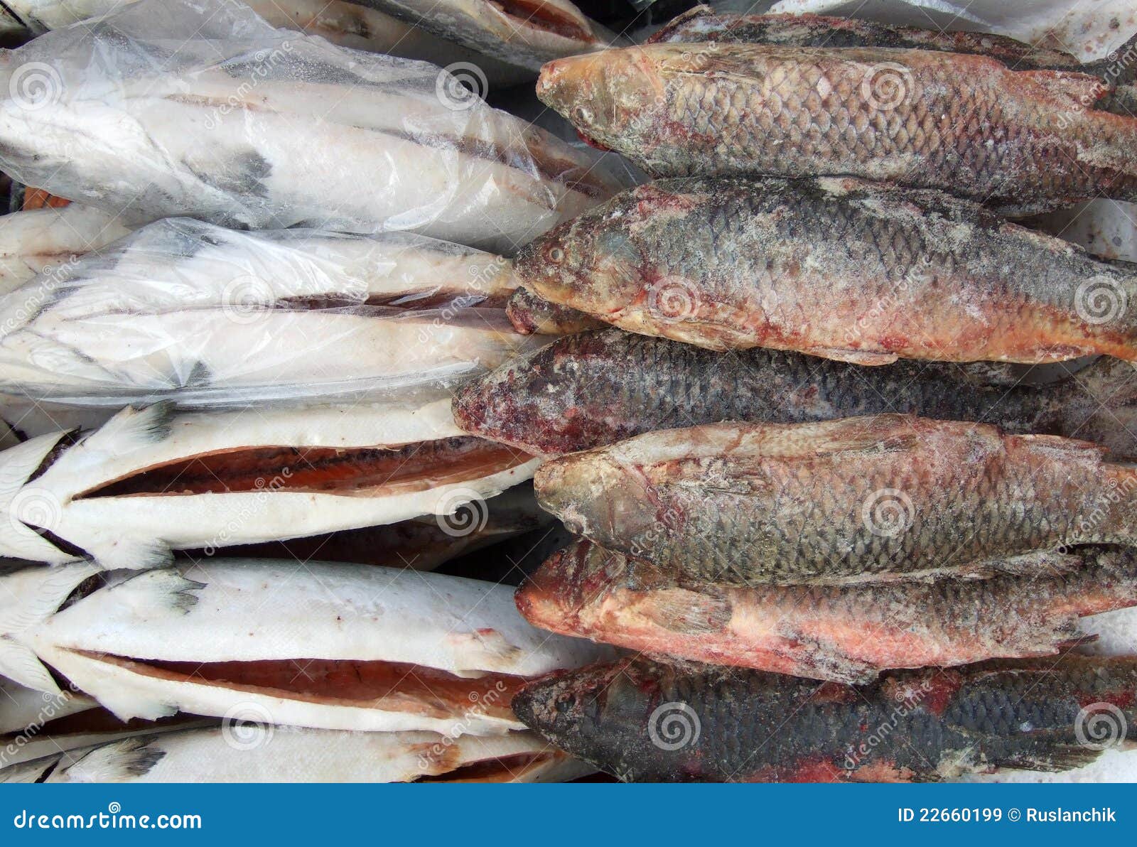 Frozen fish stock image. Image of deliver, close, fishmarket - 22660199