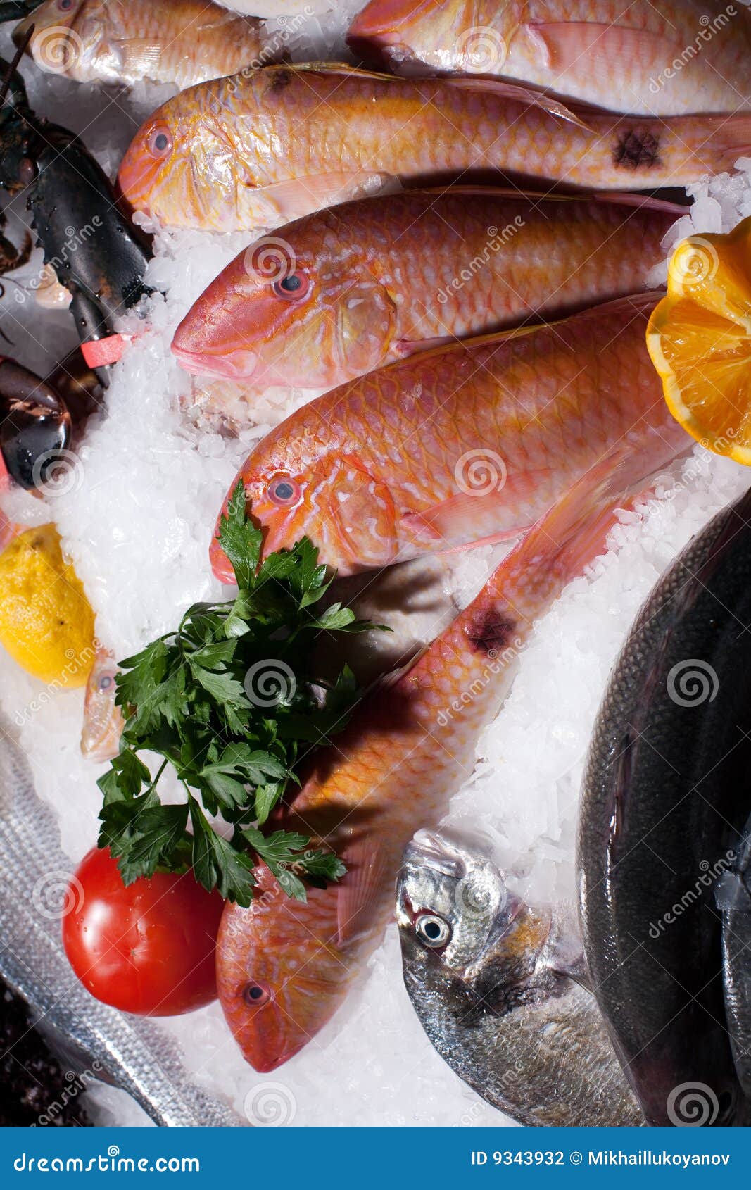 Frozen fish stock photo. Image of lemon, food, cold, frozen - 9343932