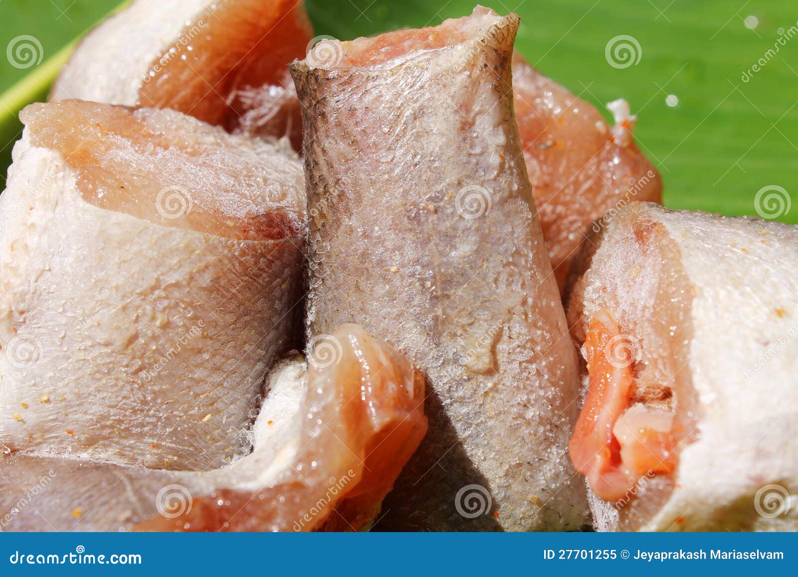 Frozen fish - Barracuda stock image. Image of protein - 27701255
