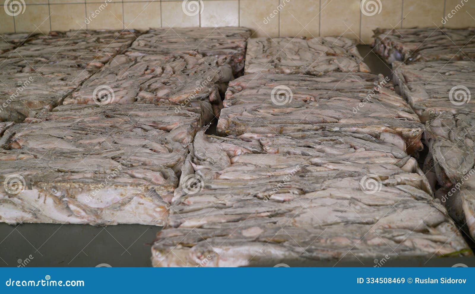 Frozen Fish Blocks Forming Wall in Warehouse. Stock Image - Image of ...