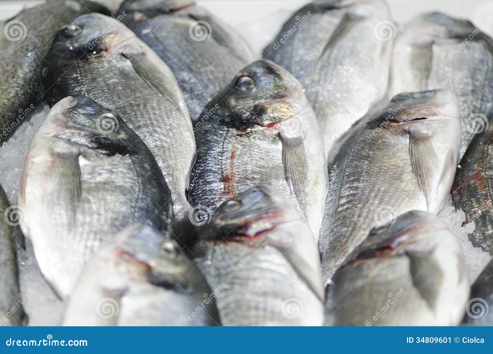 Frozen fish stock image. Image of health, lunch, fishery - 34809601