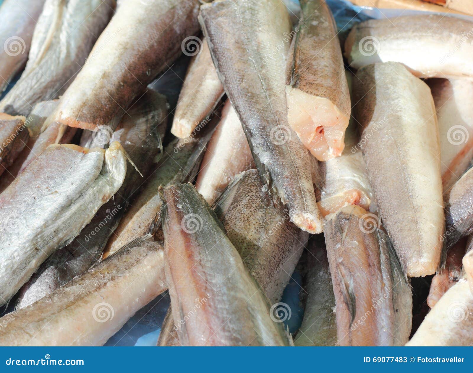 Frozen fish stock image. Image of fish, carcass, frozen - 69077483