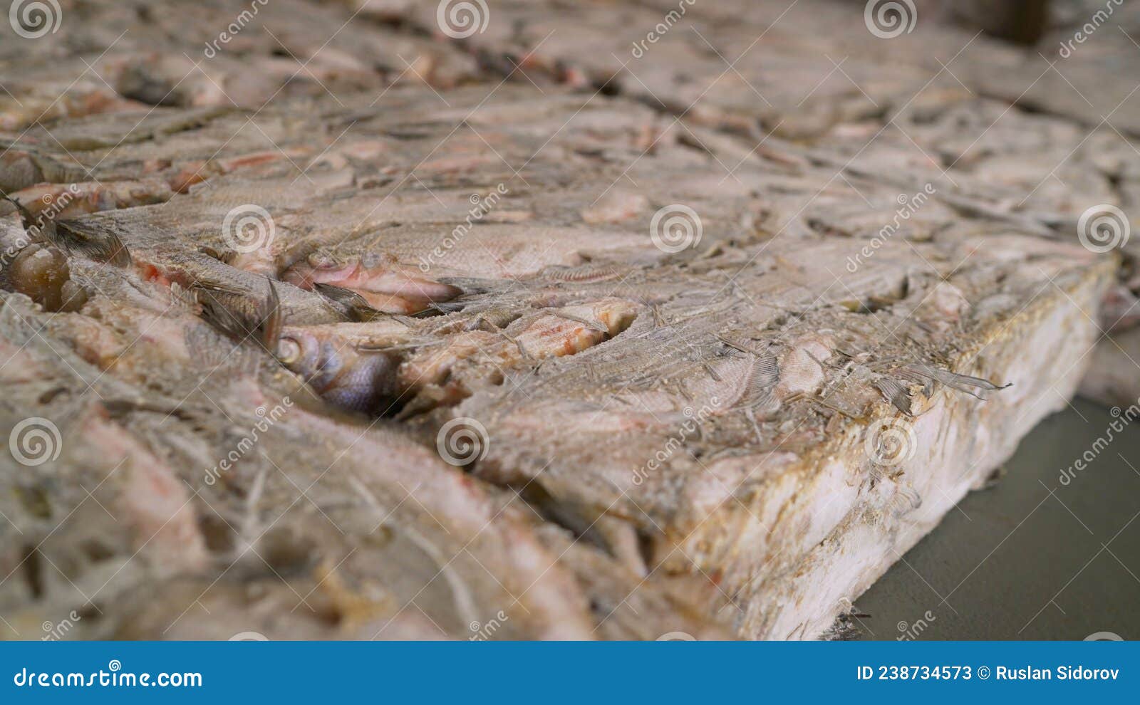 A Batch of Frozen Fish, the Process of Drying Fish. Frozen Fish in a ...