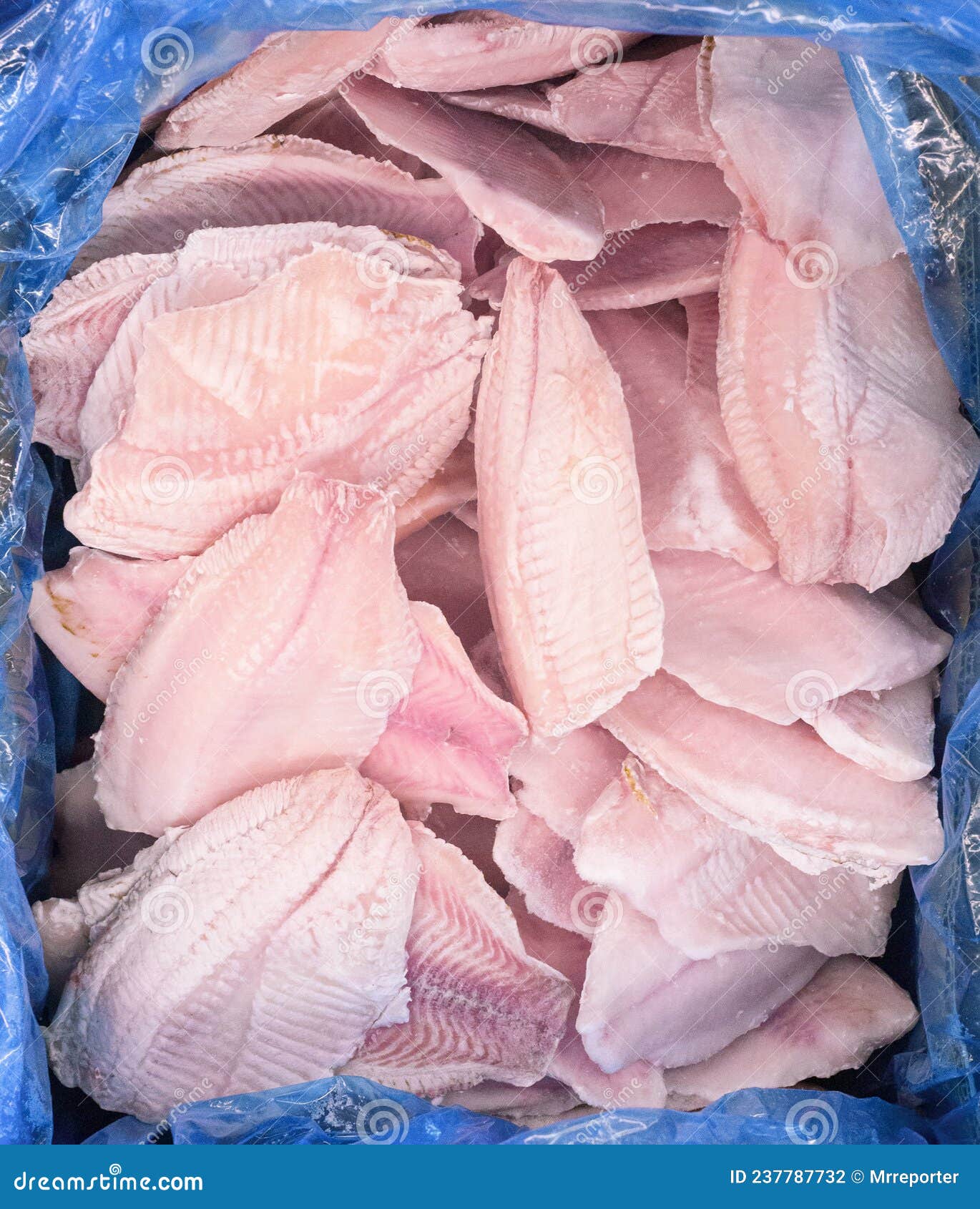 Frozen Fish Fillet in Transport Pack Stock Photo - Image of commercial ...