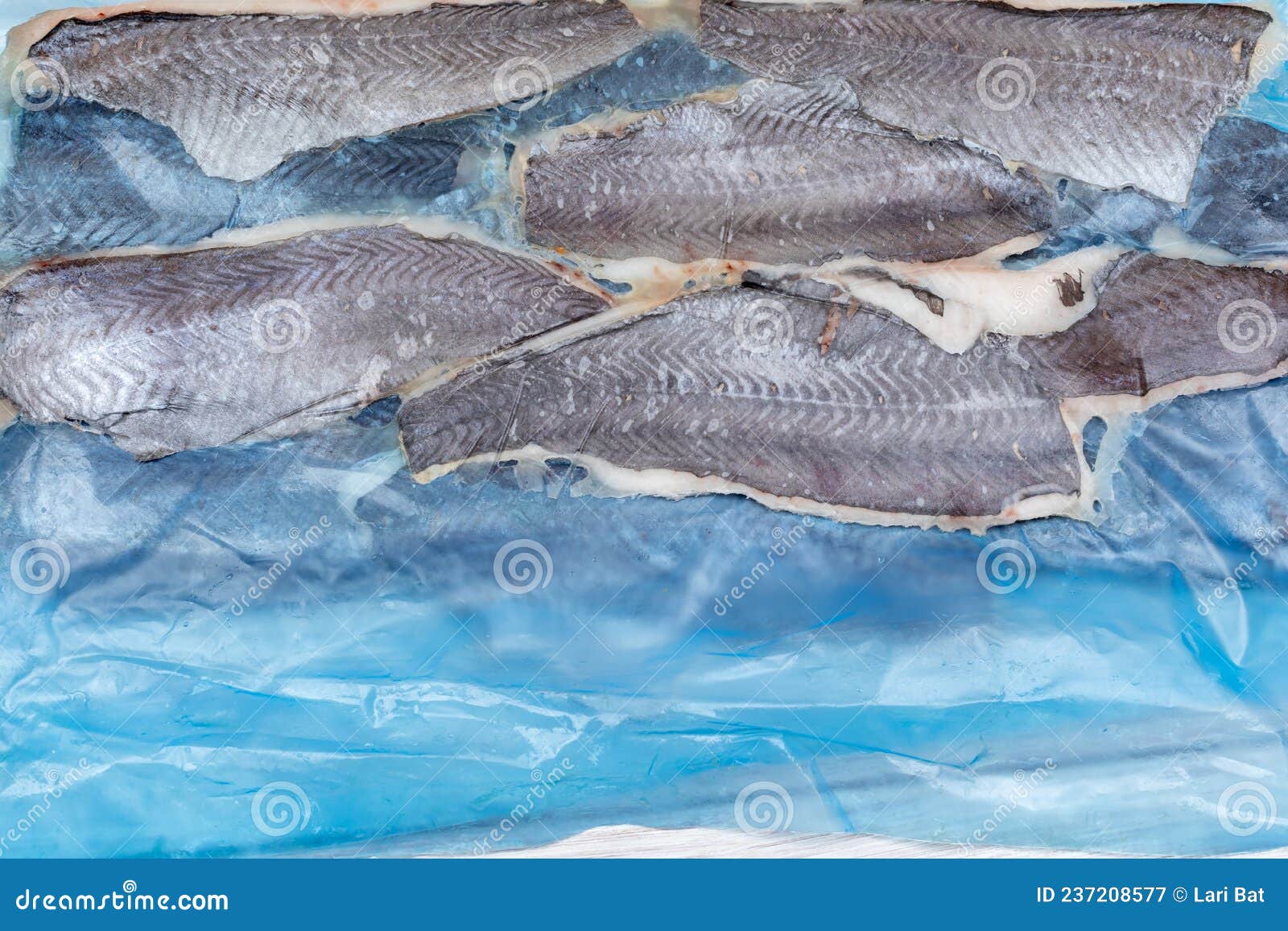 Frozen Fish Fillets Longtail Hake on Plastic Packaging at the Fish ...