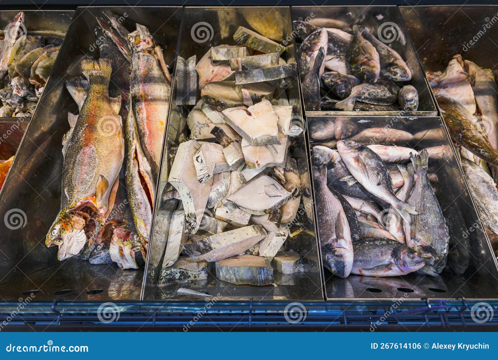 Frozen fish stock photo. Image of cool, food, diet, fishing - 267614106