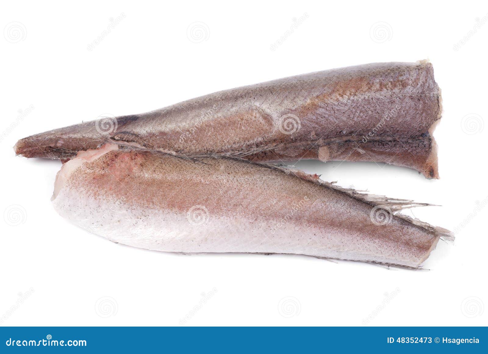 Frozen fish hake stock image. Image of pollock, white - 48352473
