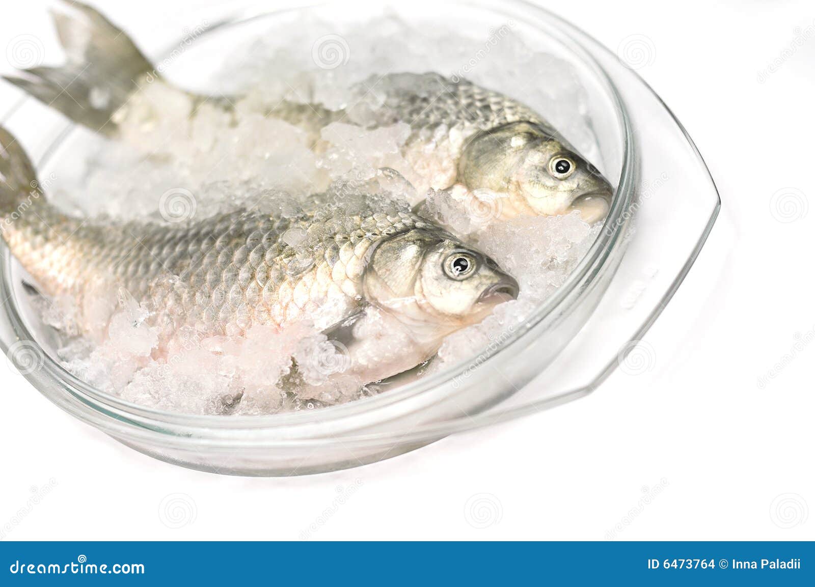 Frozen fish in ice stock photo. Image of marine, scales - 6473764