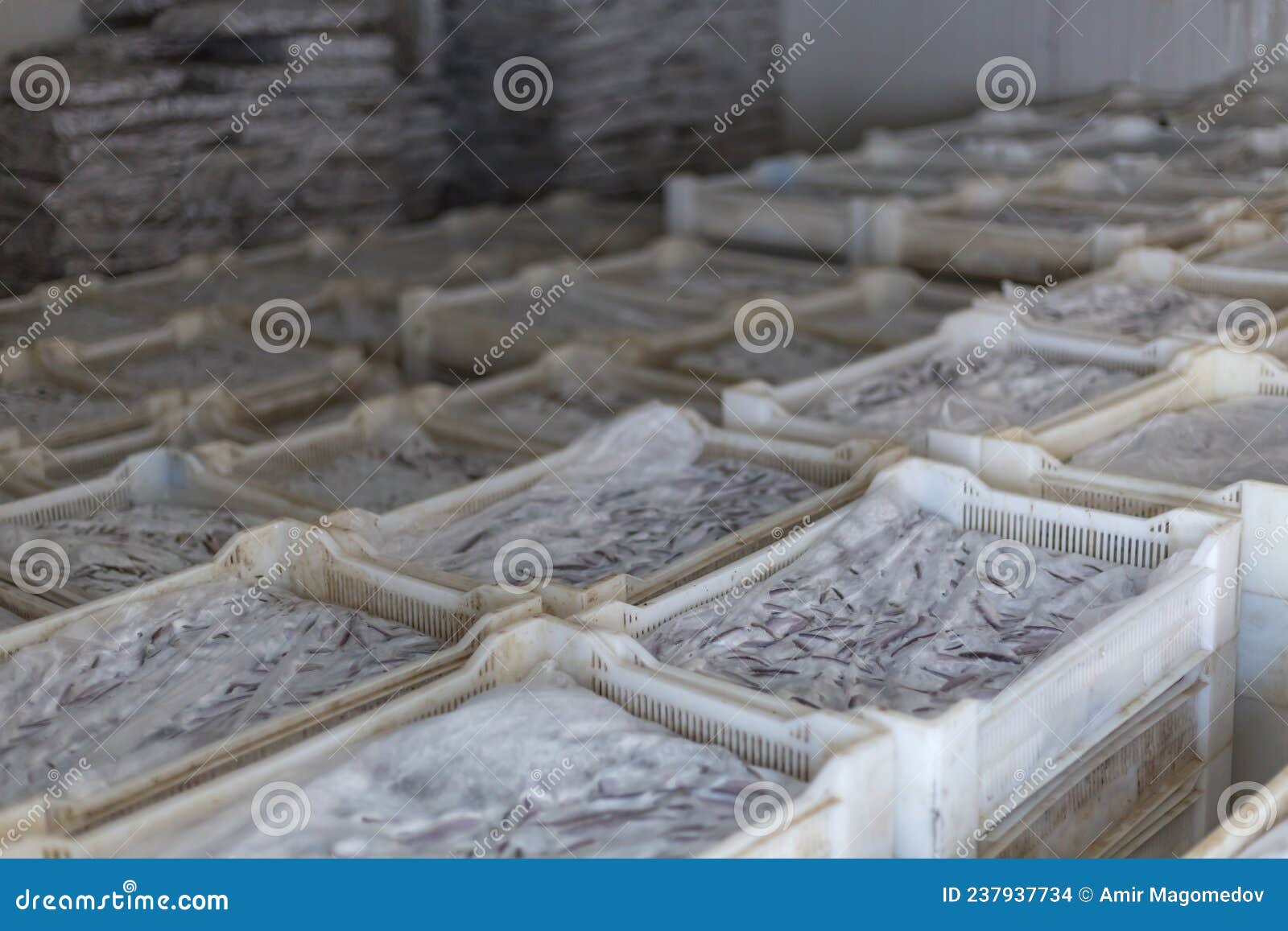 Frozen Fish Packed in Boxes is Stored in the Refrigerator. Stock Photo ...