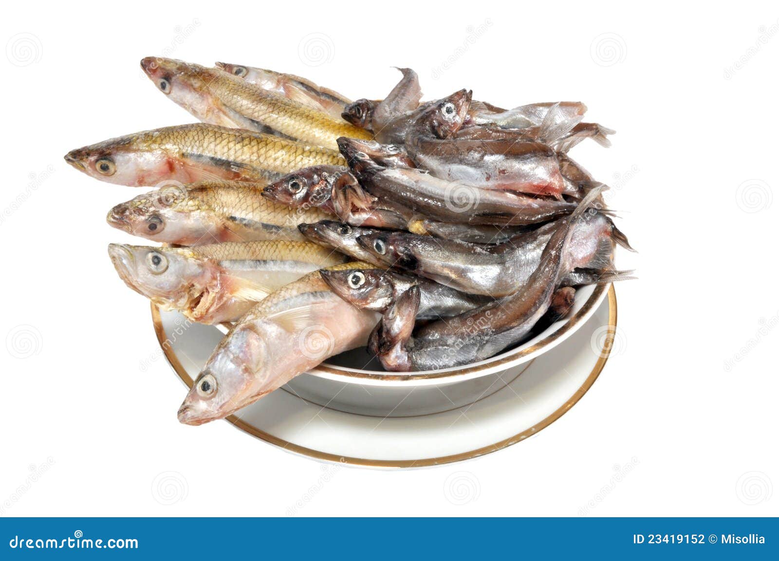 The frozen fish on a plate stock photo. Image of ceramics - 23419152