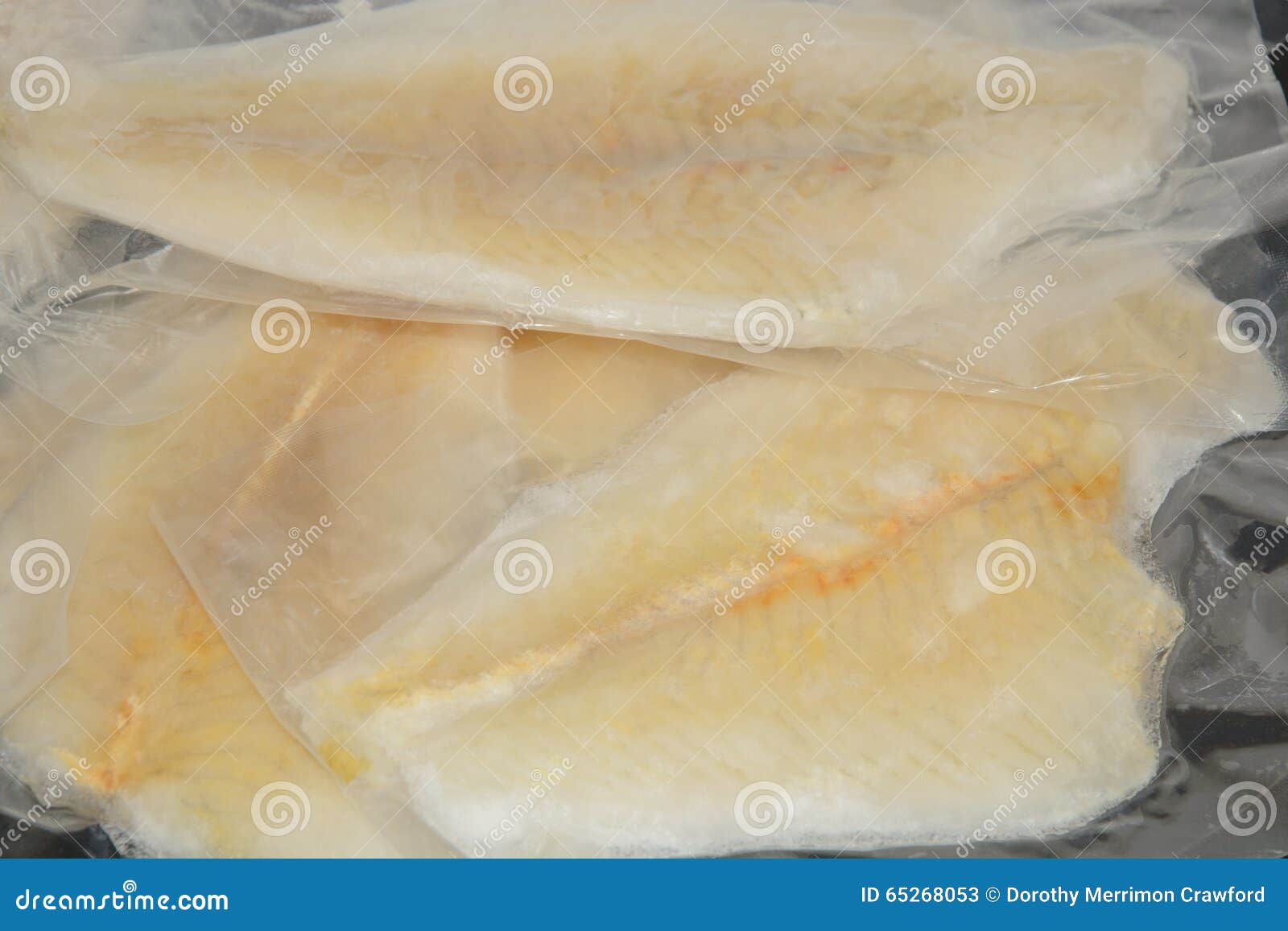 Frozen flounder fillets stock image. Image of fish, meat - 65268053