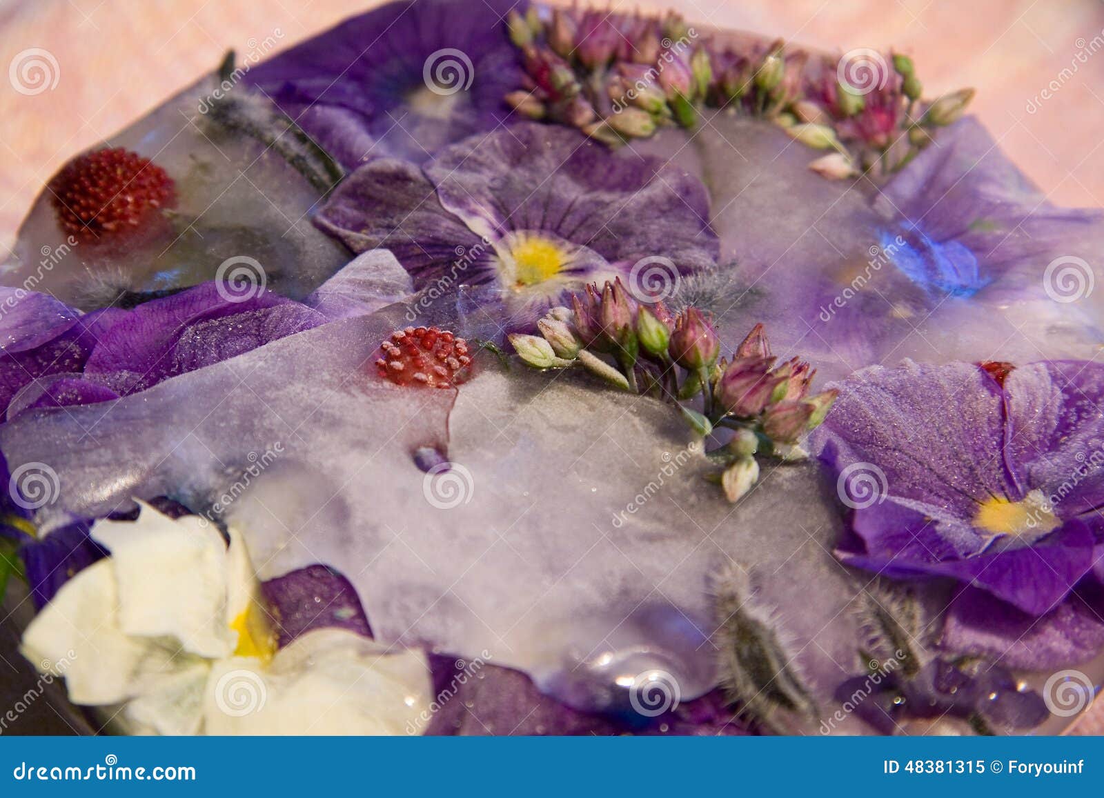 Frozen Flower of Love-in-idleness Stock Image - Image of nature, petal ...