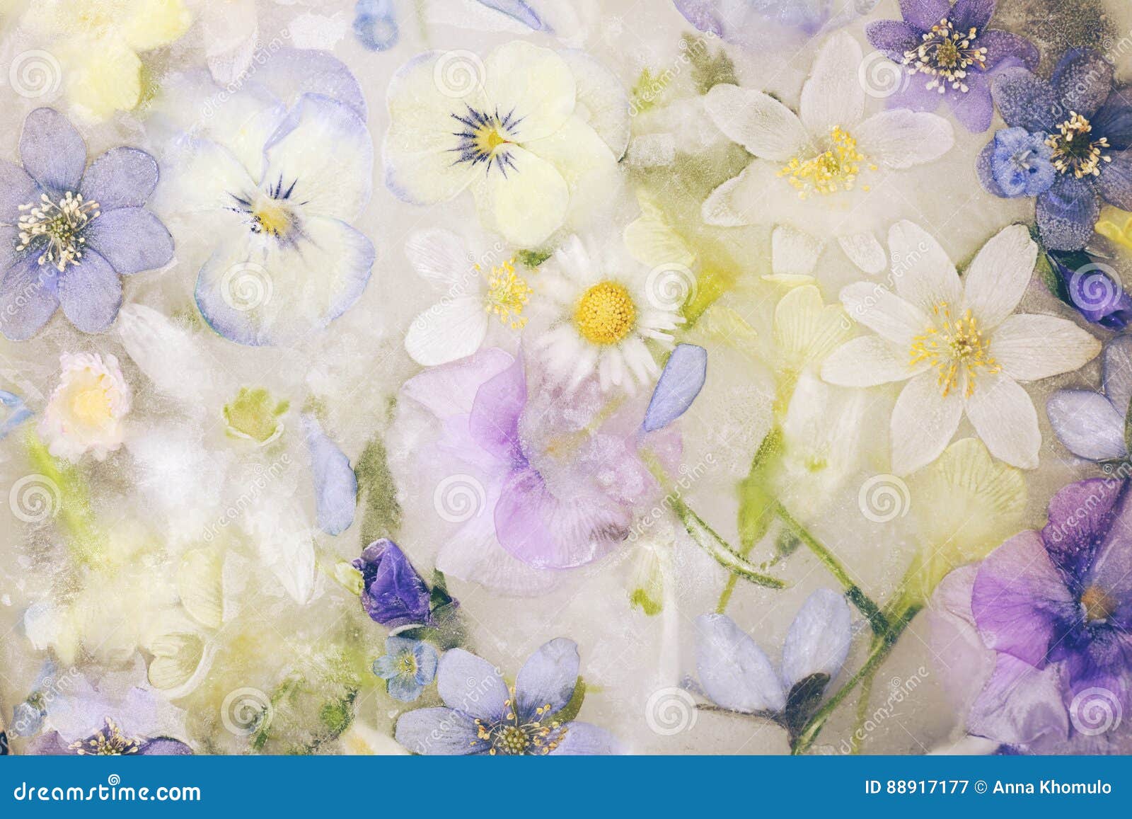 Frozen flowers stock image. Image of textured, abstract - 88917177