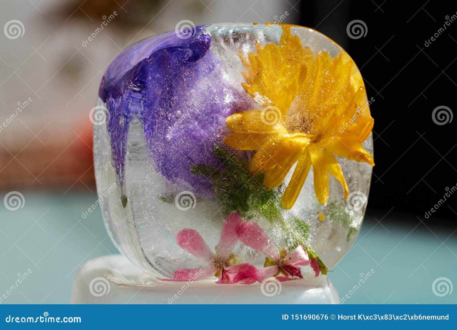 Frozen Flowers in an Ice Cube.Ice Texture.Ice with Flowers Stock Photo ...