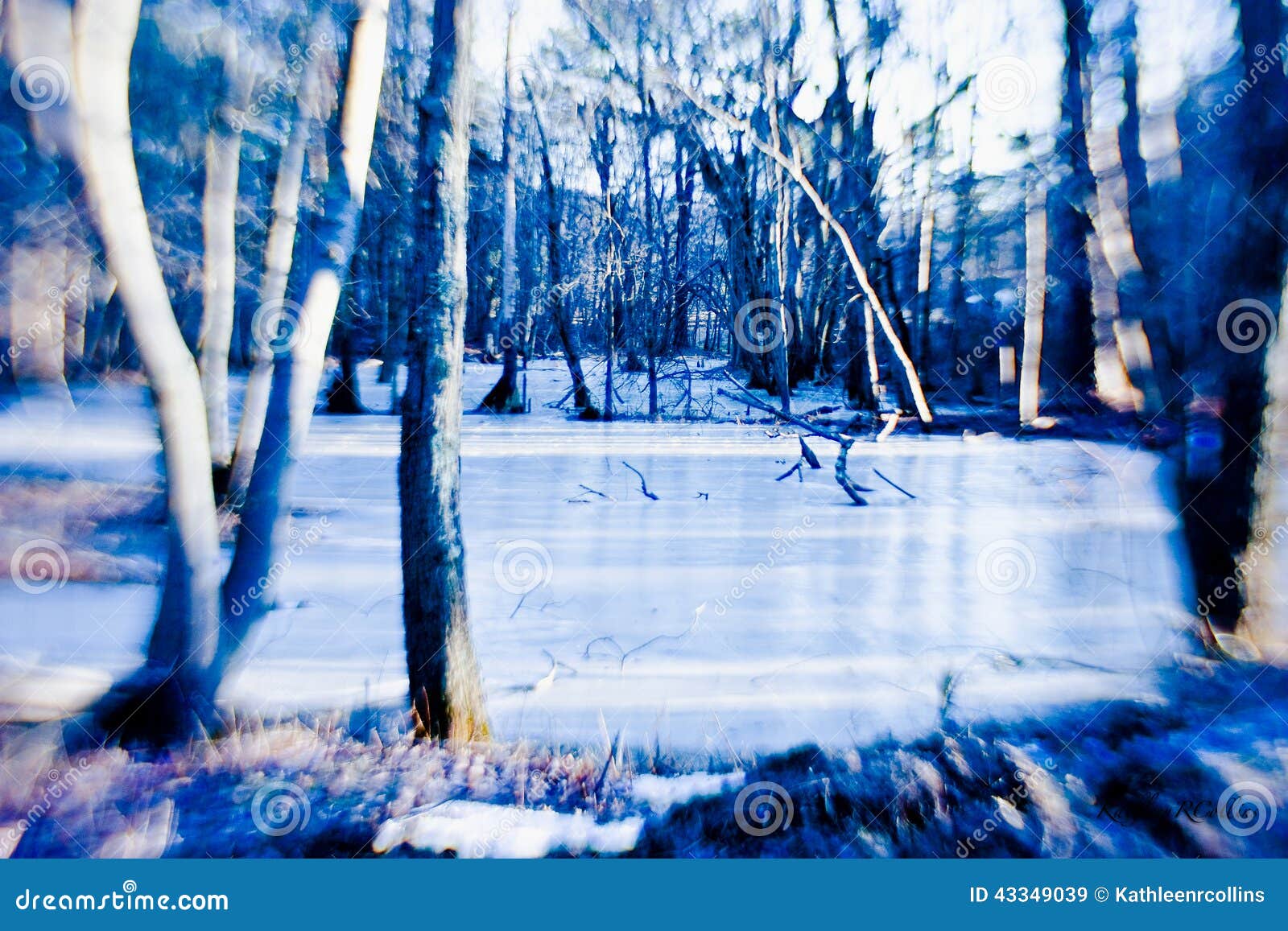 Frozen forest lake stock image. Image of lensbaby, blue - 43349039