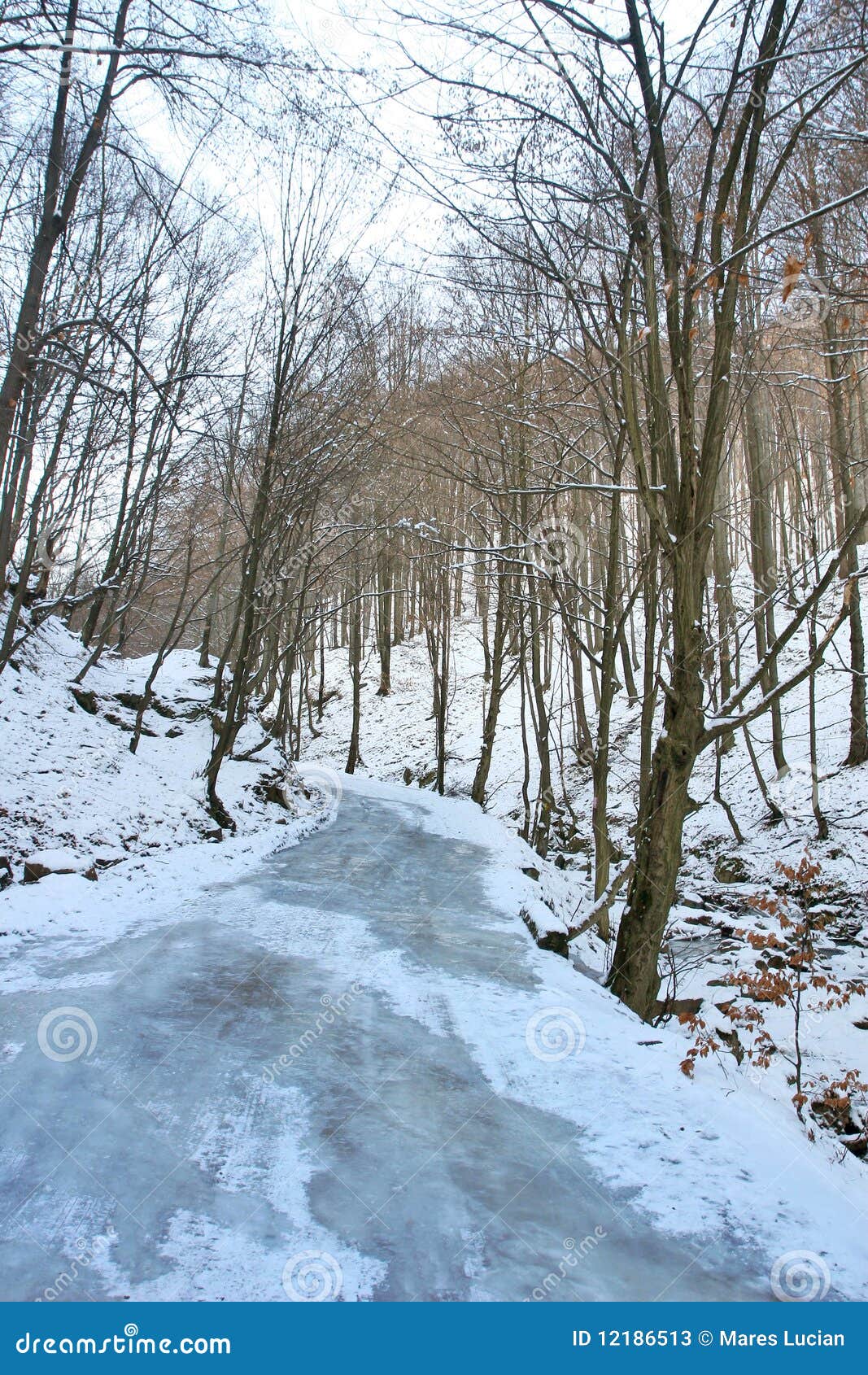 Frozen forest winter road. stock image. Image of black - 12186513