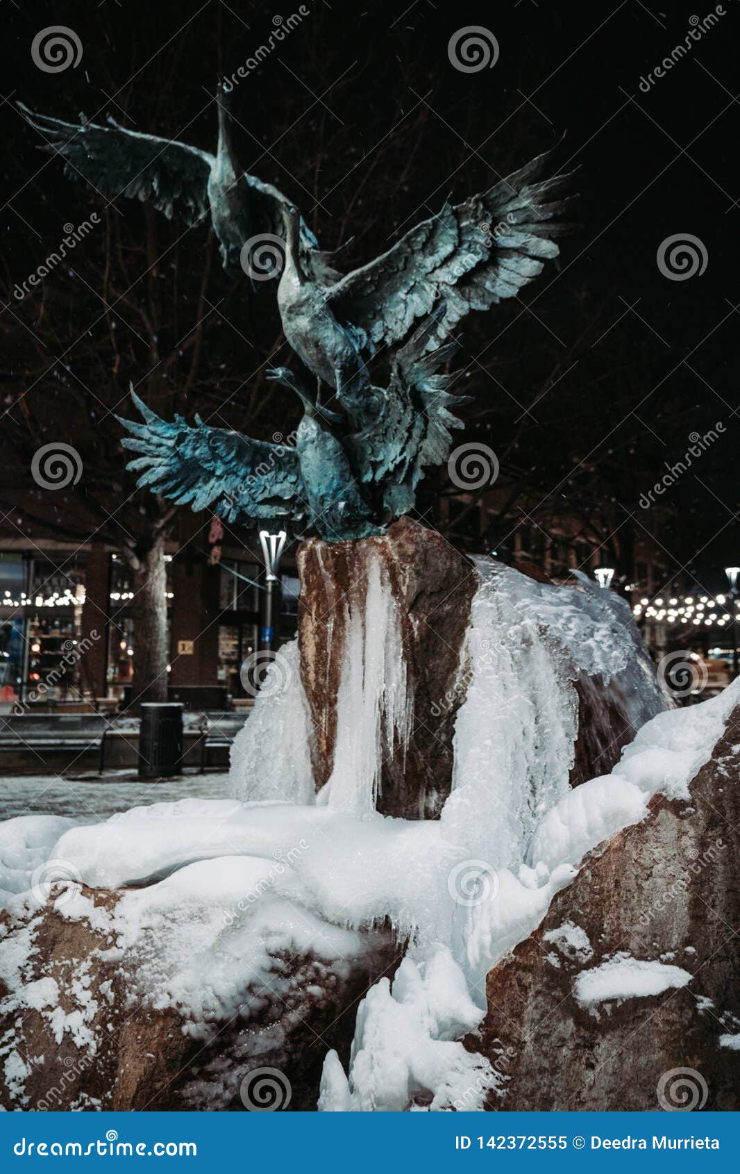 Frozen Fountain with Geese at Night Editorial Image - Image of geese ...