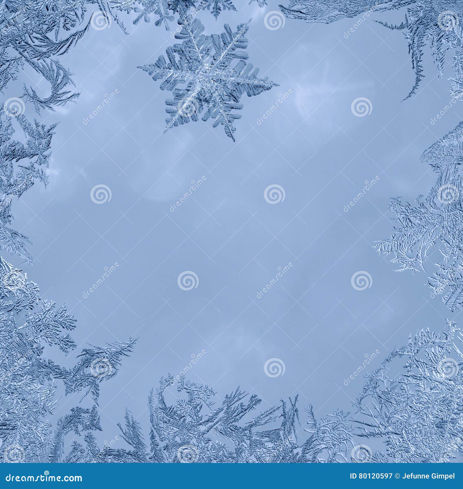 Frozen Frame stock image. Image of window, cold, closeup - 80120597