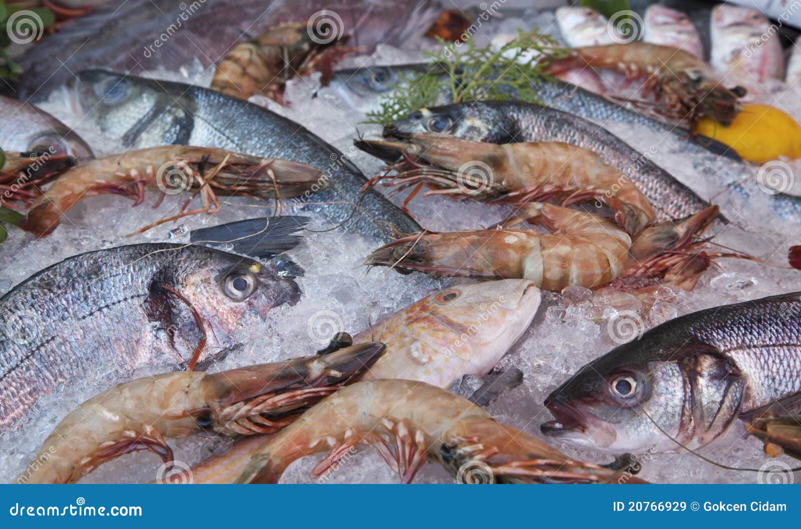 Frozen Fresh Fish And Shrimp Royalty Free Stock Images - Image: 20766929