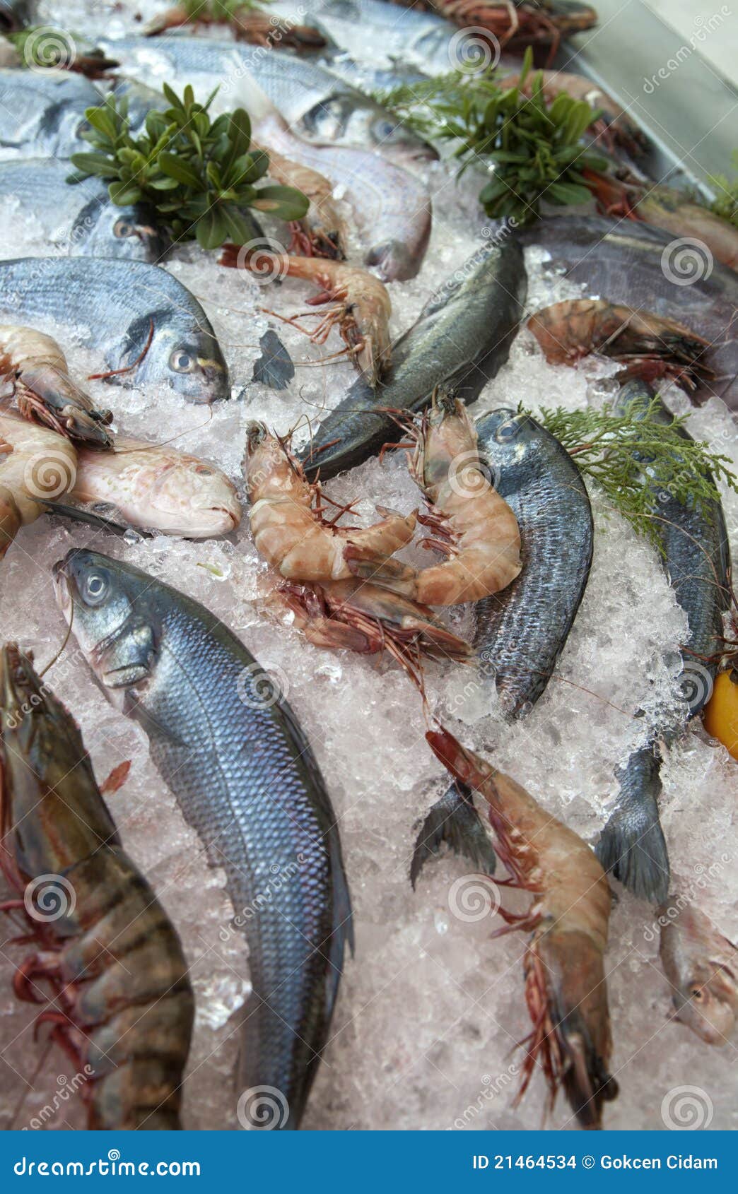 Frozen Fresh Fish and Shrimp Stock Photo - Image of food, multi: 21464534