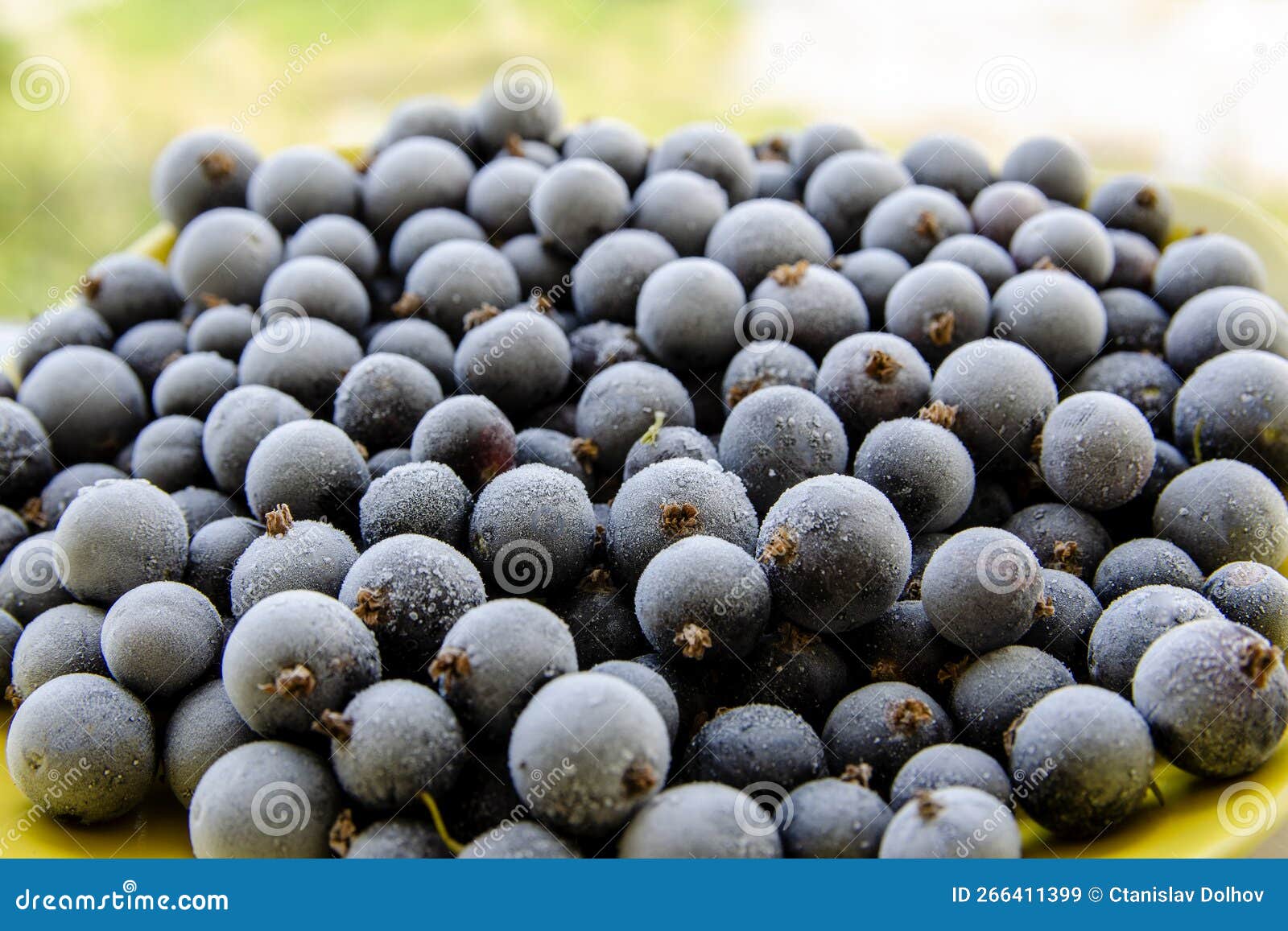 Frozen Fruit Currant Source of Vitamins Stock Image - Image of source ...