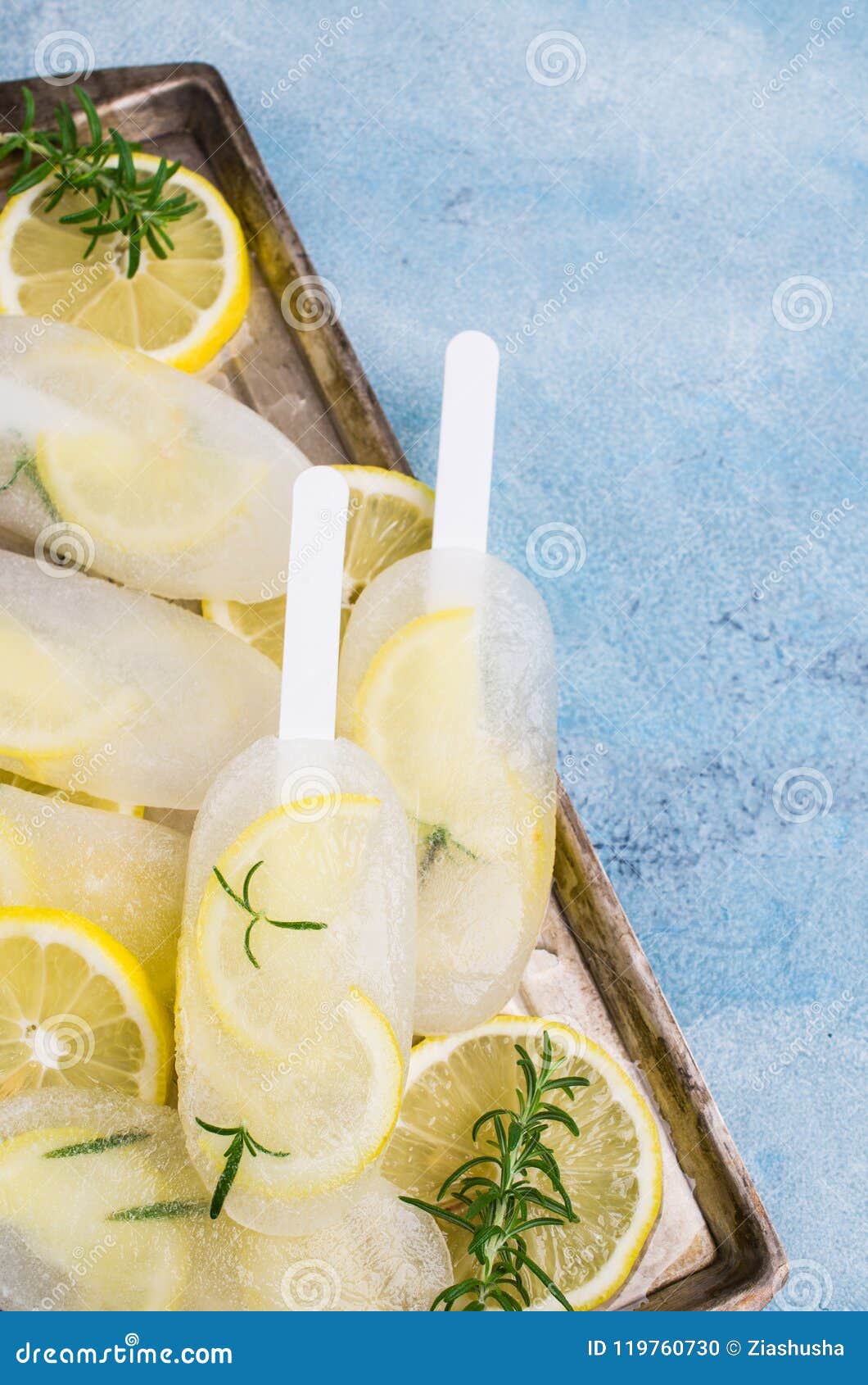 Frozen fruit ice stock photo. Image of meal, citrus - 119760730