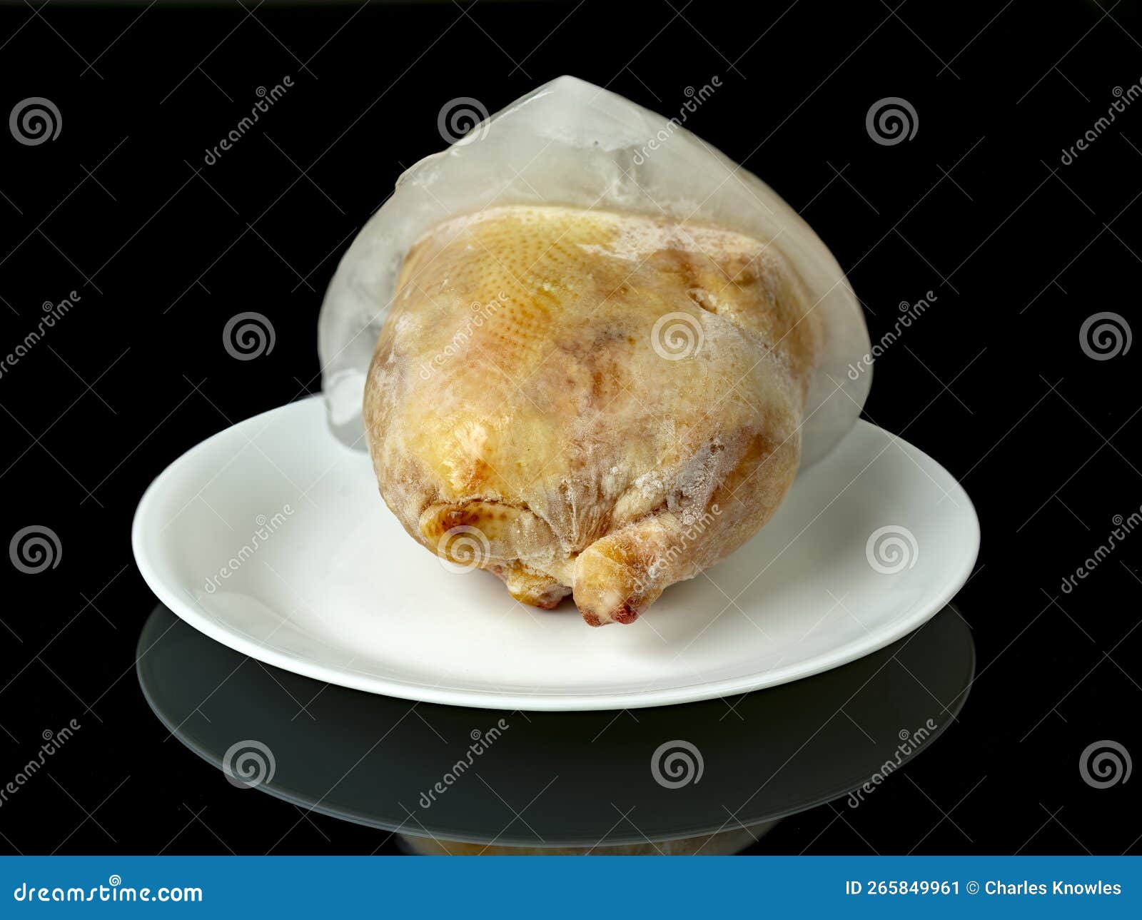 Frozen Game Hen with a Block of Ice Stock Image - Image of macro ...