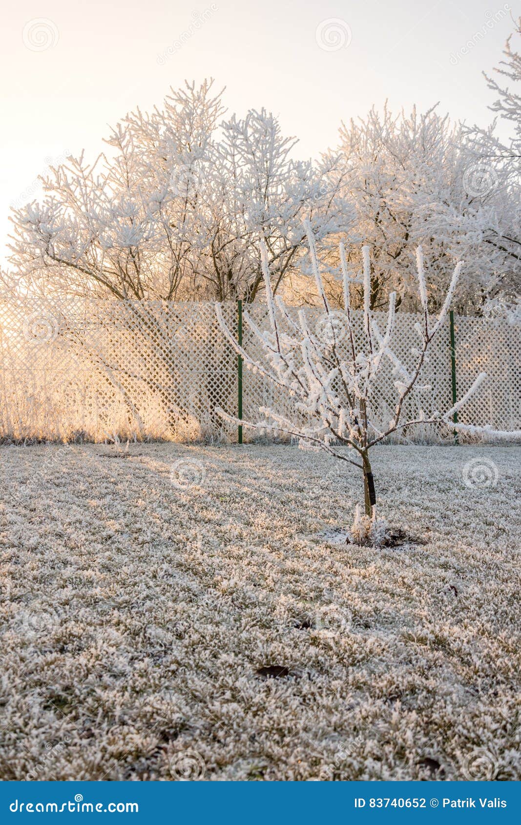 Frozen Garden Pond Royalty-Free Stock Photo | CartoonDealer.com #82819947