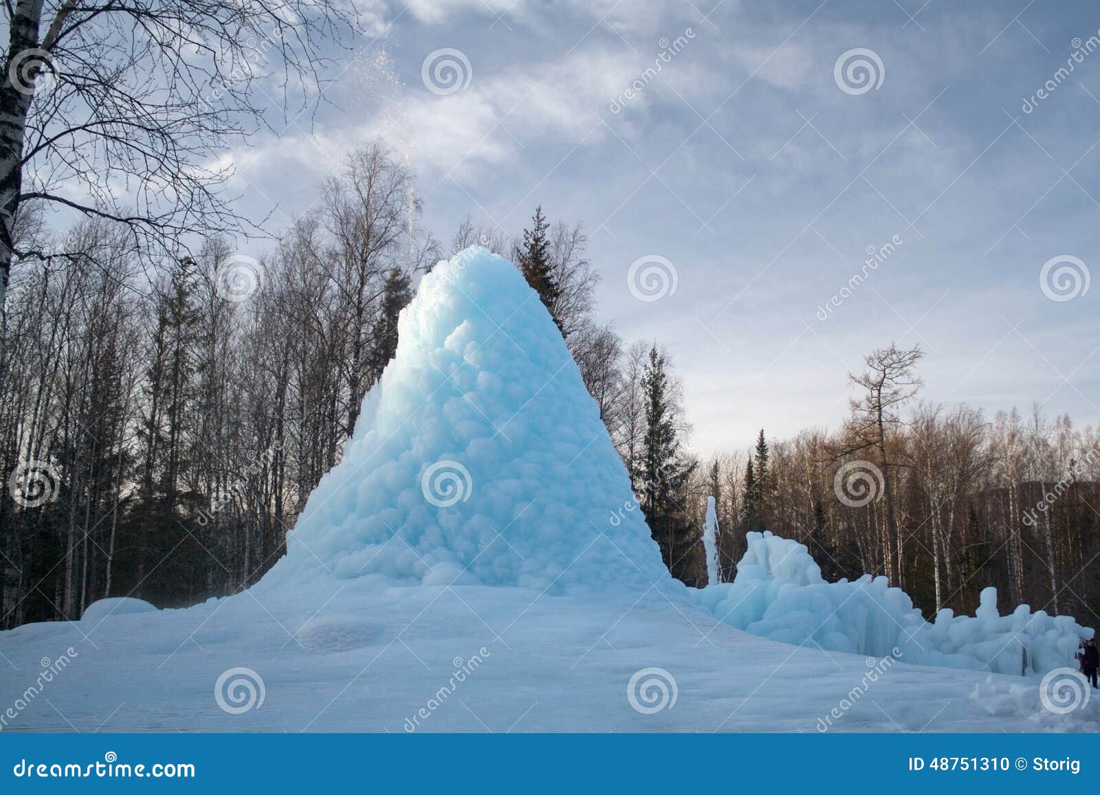 The Frozen Geyser in the Wood. Stock Photo - Image of winter, wood ...