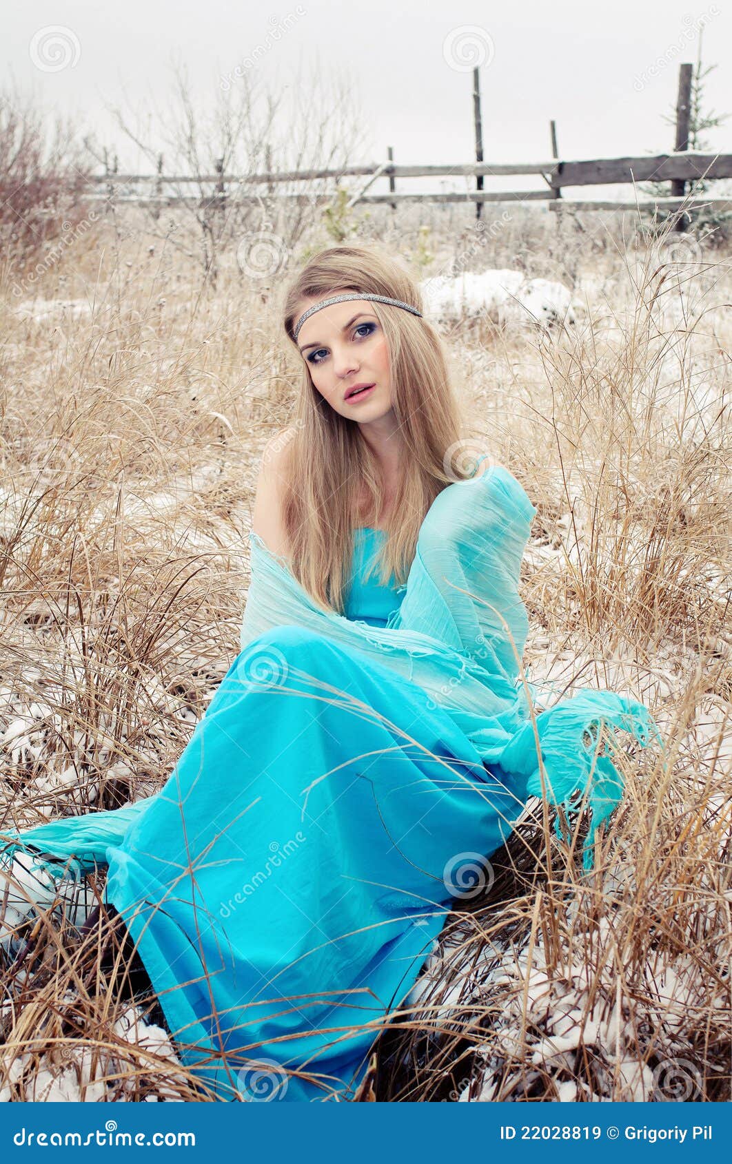 Frozen girl stock image. Image of girl, gorgeous, stylish - 22028819